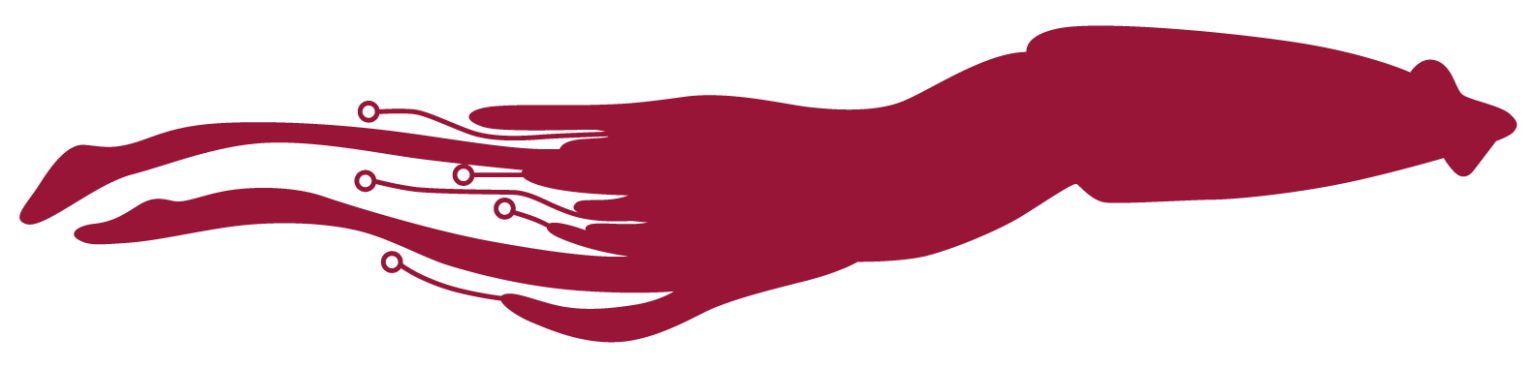 DeepSeas RED – Pen Testing and Cyber Security Validation - DeepSeas DeepSeas RED – Pen Testing and Cyber Security Validation - DeepSeas