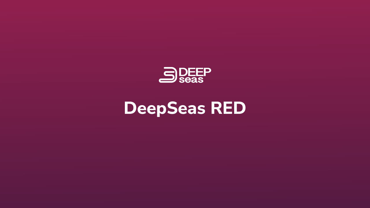Offensive Security & Pen Testing Checklist from DeepSeas RED Offensive Security & Pen Testing Checklist from DeepSeas RED